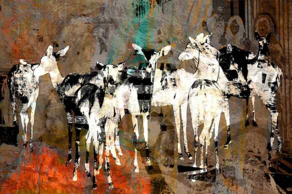 The Best of KEVIN BEST - Art Magazine - Art Market Magazine for ...