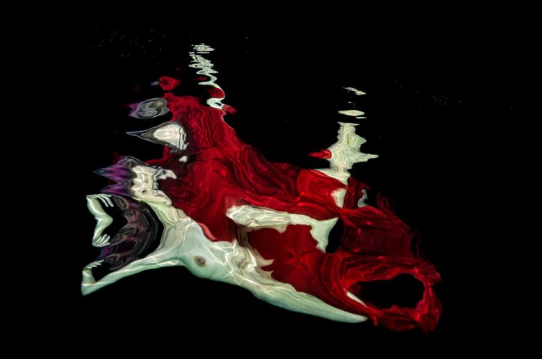 What is Beauty? By Bruno Metra - Art Magazine - Art Market Magazine for ...